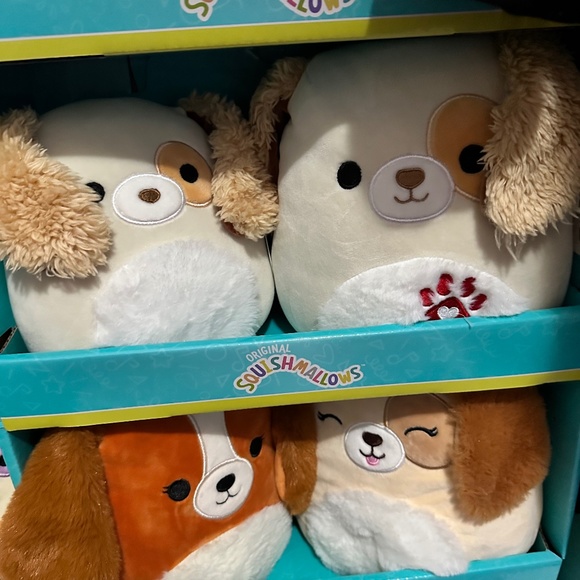 Squishmallows | Toys | 8 X 8 Cute Squishmallows Dogs Bear Tula Darcy ...